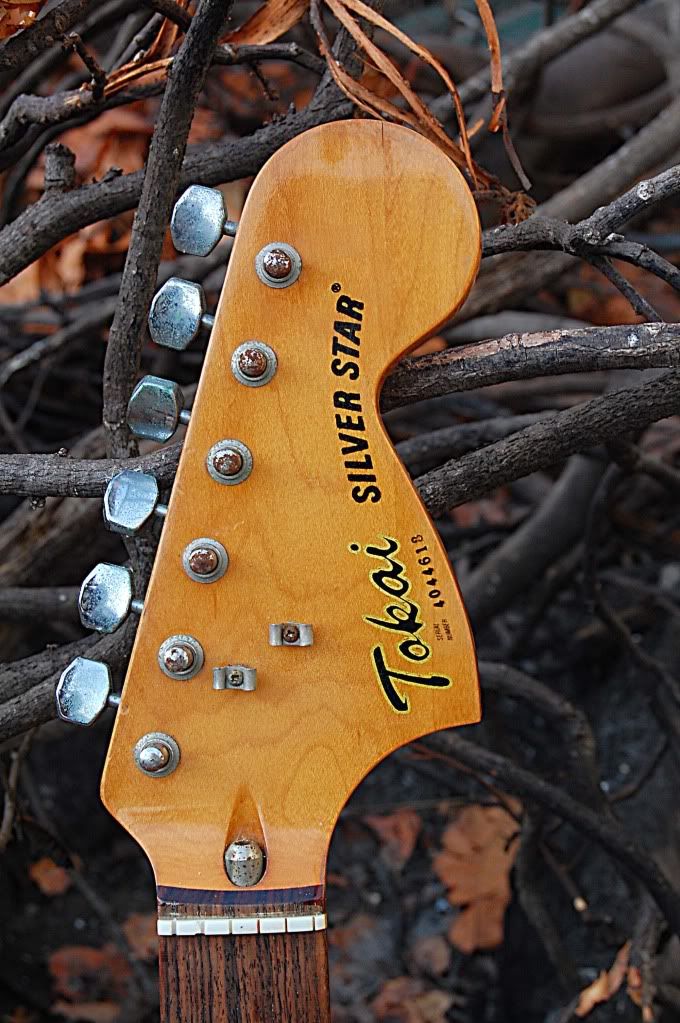 NGD and What brand for parts for my tokai | Tokai & Japanese Guitar Forum